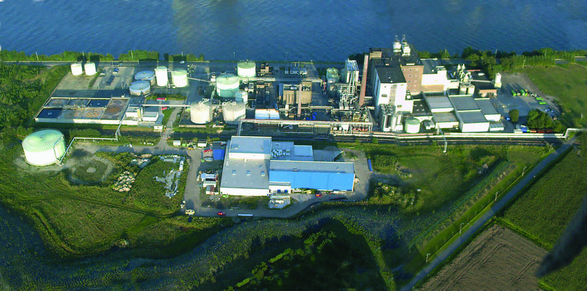 Over Algist Bruggeman: het verhaal achter kwalitatieve bakkerijgrondstoffen